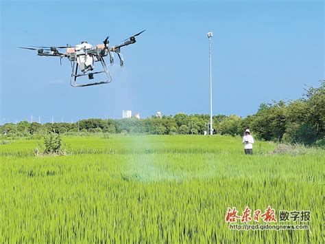 启东市人民政府