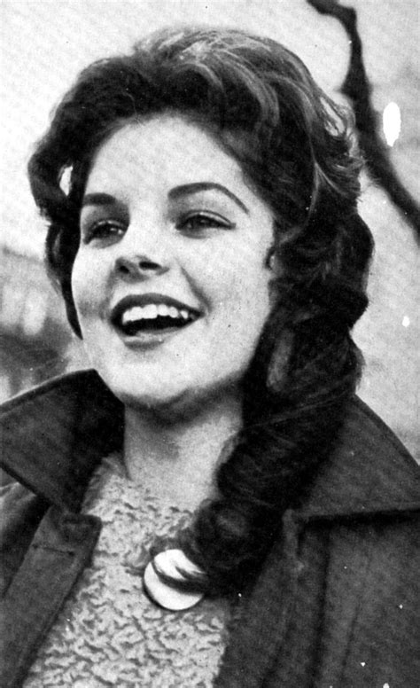 18 Priscilla Presley Young Ideas Priscilla Presley Elvis And