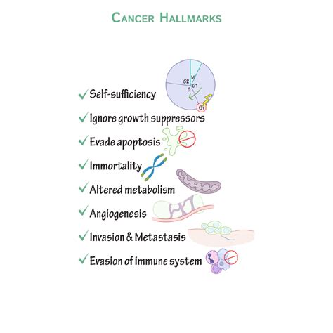 Clinical Pathology Glossary Carcinogenesis Ditki Medical