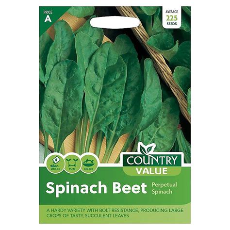 Spinach Beet Perpetual Spinach By Country Value