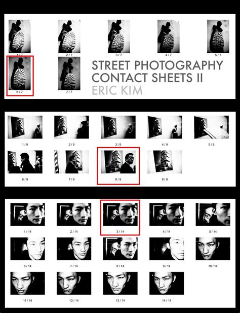 What Is A Contact Sheet