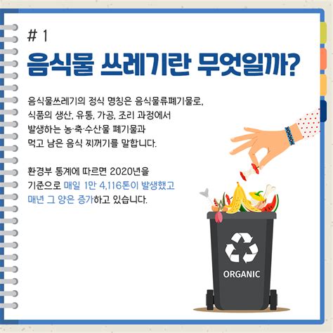 세계 음식물 쓰레기 통계