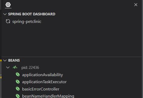 App Keeps Spinning After Being Started Issue Microsoft Vscode Spring Boot Dashboard