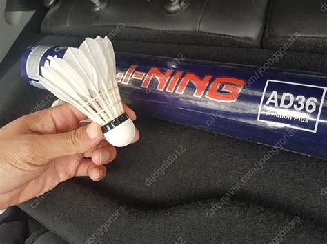 배드민턴 셔틀콕 판매리닝 기타 스포츠 중고나라