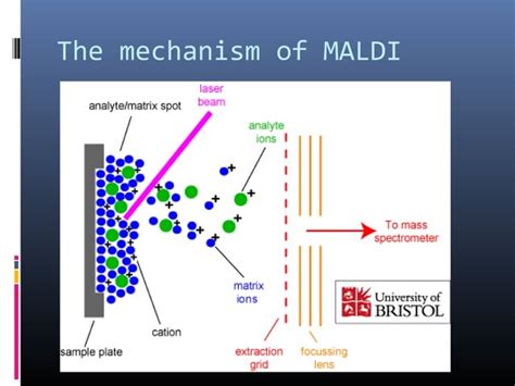 Maldi Ppt Chemistry Science