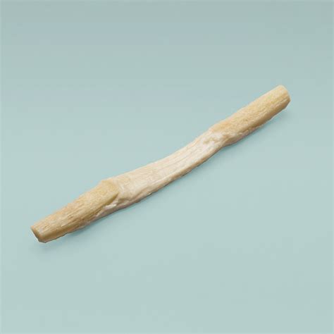 Patellar Tendon Aseptic Jrf Ortho Product Details