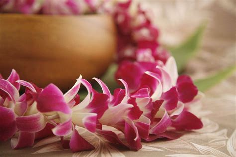 Flower Leis Shop Hawaiian Leis Fast And Fresh Ships Nationwide