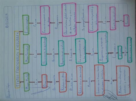 Mapa Conceptual Textos Funcionales Escolares Alejandro Lopez 203