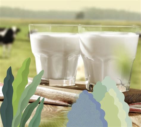 Sürdürülebilirlik Aynes