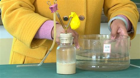 六、b35 涿州市双塔中学 人教版 生物 初二第一学期 《演示实验——发酵现象》 张翠精品微课 高清1080p在线观看平台 腾讯视频