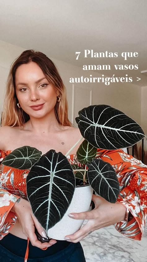 Pin De Julia Eloy En Ideias Com Plantas Jardineria Y Plantas Cultivo