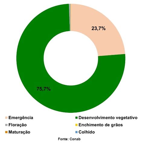 Plantio De Soja Impactado Pelo Clima Agro Xingú Corretora De Grãos