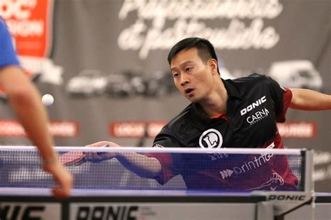 Tennis De Table Malgré Ses Six Victoires Wang Yang Reste La Marge De