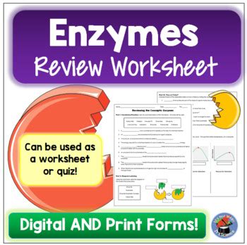 Enzymes Review Worksheet Quiz By It S Not Magic It S Science TPT