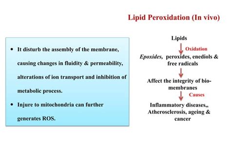Class 2 Simple And Compound Lipids Pptx Chemistry Science