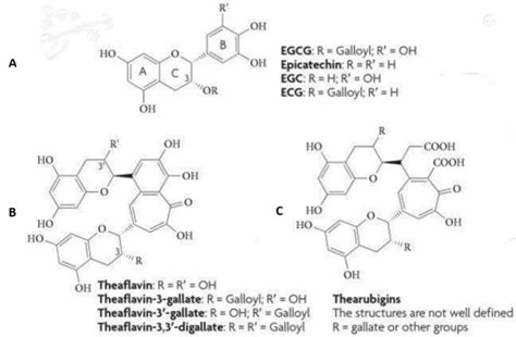 Generic Structure Of Common Flavonoids A Flavonoids Share A Common Download Scientific