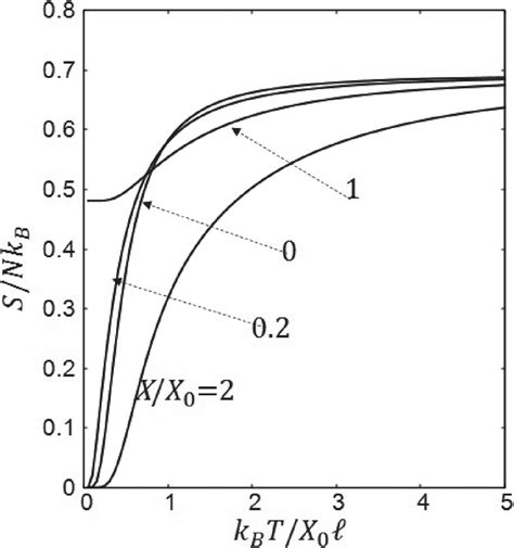 The Temperature Dependence Of The Entropy Of The Model Rubber For Fixed