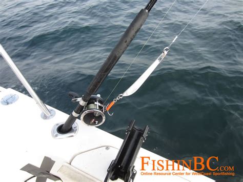 Lingcod Fishing Tips Catch More Lingcod