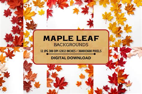 Maple Leaf Digital Paper Backgrounds Graphic By Marshall Designs · Creative Fabrica