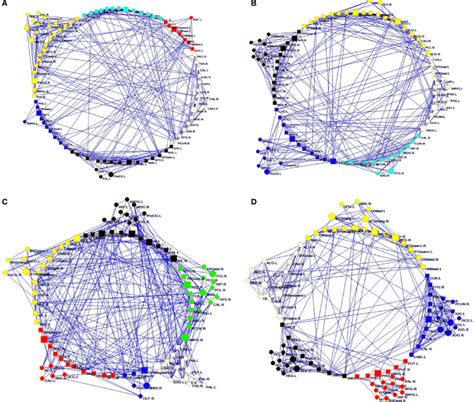 Structural Connectivity Network And Functional Connectivity Network