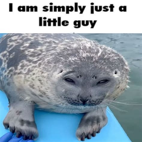 Gyu Seal