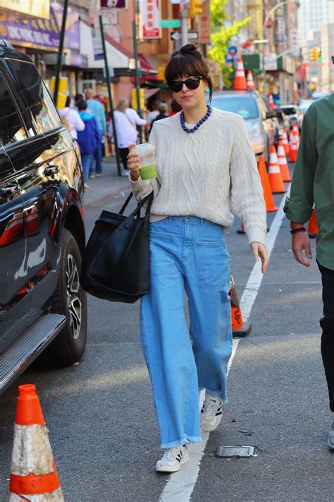 Dakota Johnson Style 2024 Carey Correna