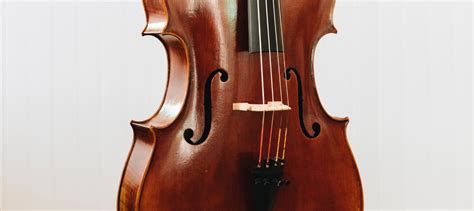 A Beginners Guide Tuning Your Cello Simply For Strings