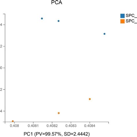 Pca Analysis The Plot Displays The New Dataset In Two Dimensional