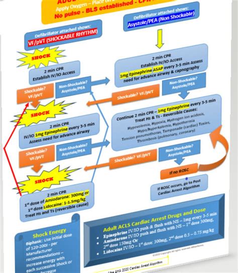 Acls Reference Study Guide Cardiac Arrest Shockable Non Shockable Brady Tachy Post