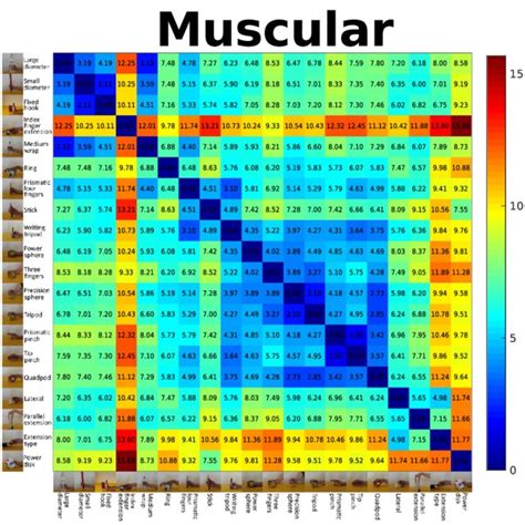 Fingertip Space With Different Fingertip Unit Sizes Download Scientific Diagram
