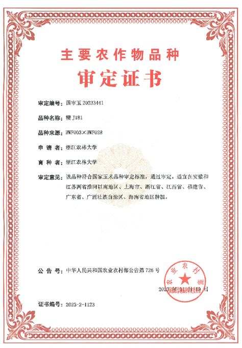 我校自主选育的玉米新品种‘糯j181通过国家审定 浙江农林大学