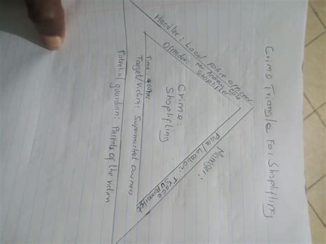 Solved Apply The Crime Problem Triangle To Shoplifting Shoplifting