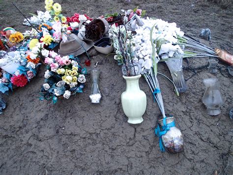 Безплатна снимка цвете носилка отпадъци 3968x2976 203956 Безплатни изображения Pxhere