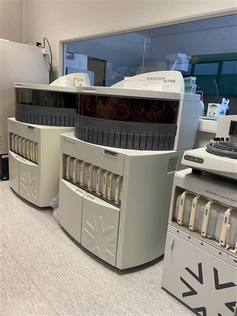 Connected Pathology Increases Capacity And Speed Of Processing With