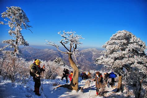 국내 겨울 여행지 베스트 10 엄선 네이버 블로그