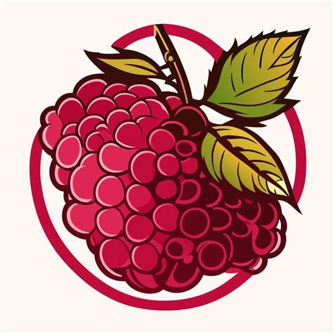 Premium Vector Raspberry Vector Illustration