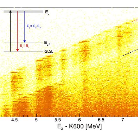 The Coincidence Matrix Obtained For 144 Sm Download Scientific Diagram