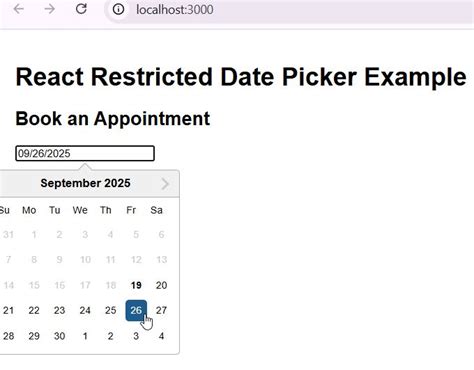 Work With React Date Picker Component