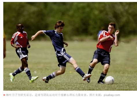 120万人研究揭示：什么运动最有益身心健康？ 知识分子的财新博客 财新网