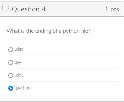 What Is The Ending Of A Python File Dat Py Doc