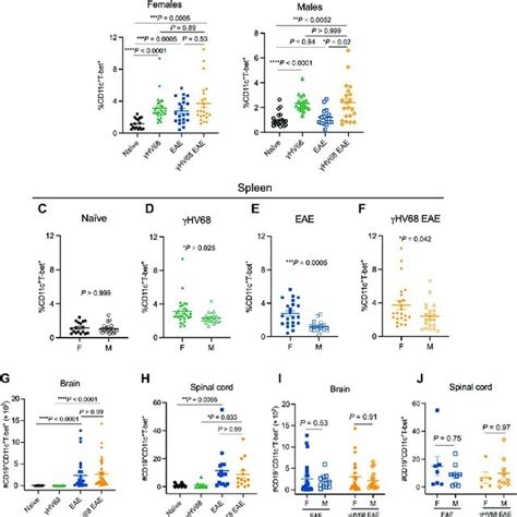 Abcs Are Expanded In A Sex Biased Manner During γhv68 Infection And Download Scientific Diagram