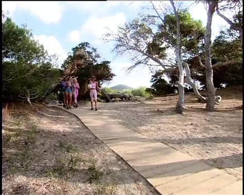 Deutsch Retro Filme Amateure Die Echten Sex Vor Der Kamera Rough Sex