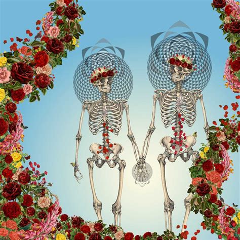 The Intricate Collages Of Bedelgeuse