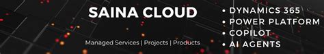Saina Cloud Software Solutions Linkedin