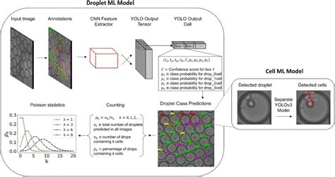 streamlining cell encapsulation with ai and microfluidics