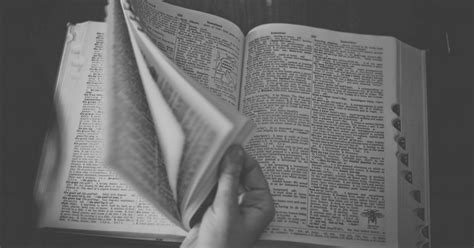 10 Common Cryptography Terms And Their Meanings The Pcloud Blog