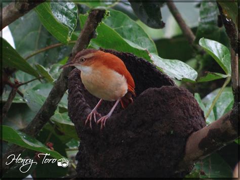 Chilalo A Photo On Flickriver