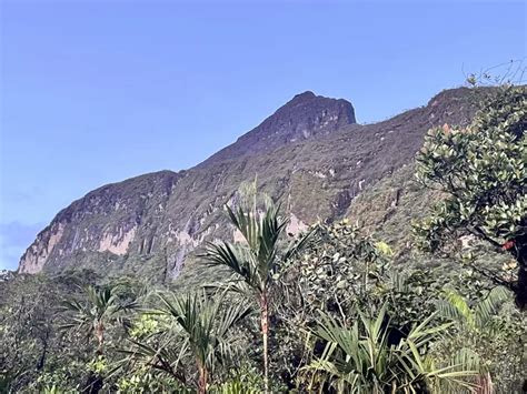 Pico Da Neblina Trekking Brazils Sacred Amazonian Peak With The Yanomami