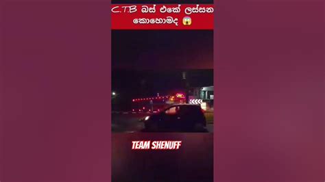 Team Shenuff Tiktok Edit Like Busවිස්තරේsl Sksbus Automobile 1million Love Slbus Youtube