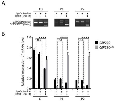 Aon Mediated Exon Skipping To Bypass Protein Truncation In Retinal